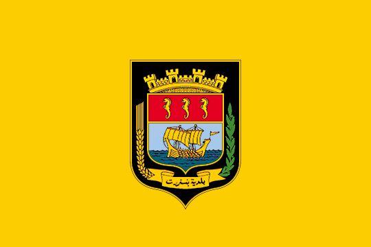 Interesting Documentary: The Battle For Bizerte